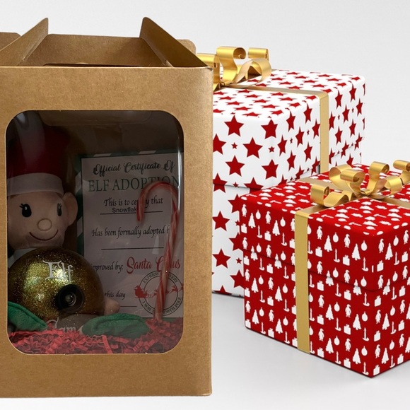 Holiday | Elf Cam Bundle Elf Surveillance Santa Surveillance Certified ...